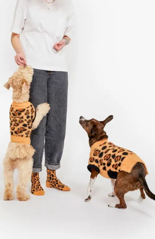 THE FURRYFOLKS Leopard Pet Sweater & Crew Socks Set