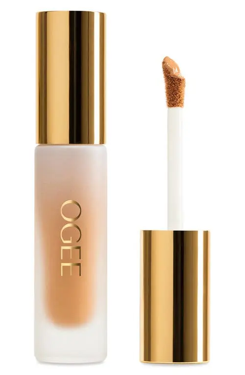 OGEE Complexion Perfecting Concealer - Ficus