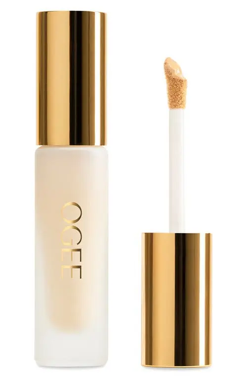 OGEE Complexion Perfecting Concealer - Fir