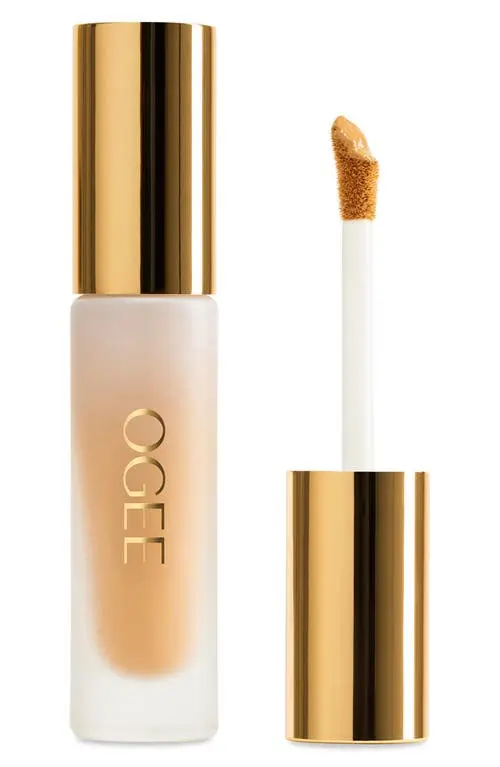 OGEE Complexion Perfecting Concealer - Hazel