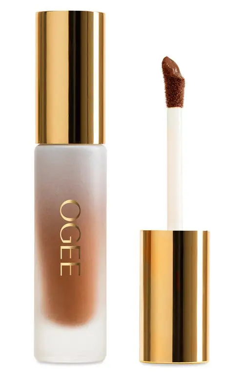 OGEE Complexion Perfecting Concealer - Holly