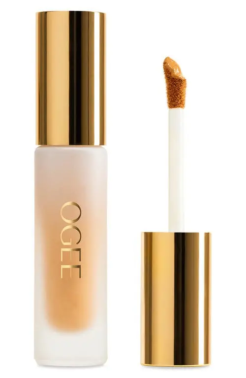 OGEE Complexion Perfecting Concealer - Juniper