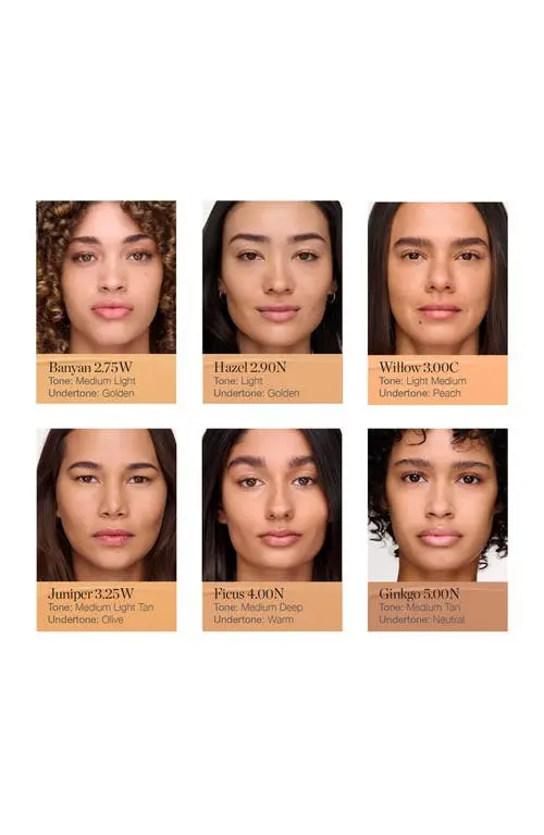 OGEE Complexion Perfecting Concealer - Juniper