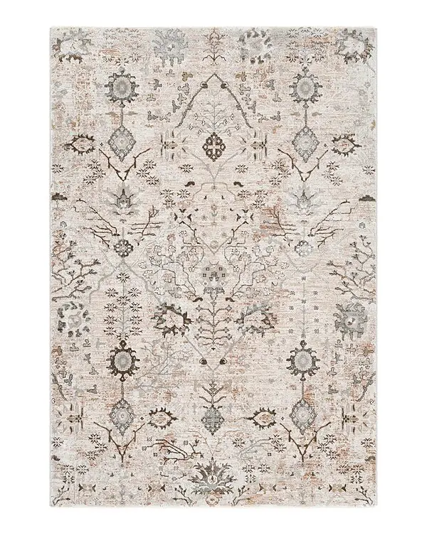 SURYA Livabliss Brunswick Bwk-2311 Area Rug, 10' X 14 - Khaki