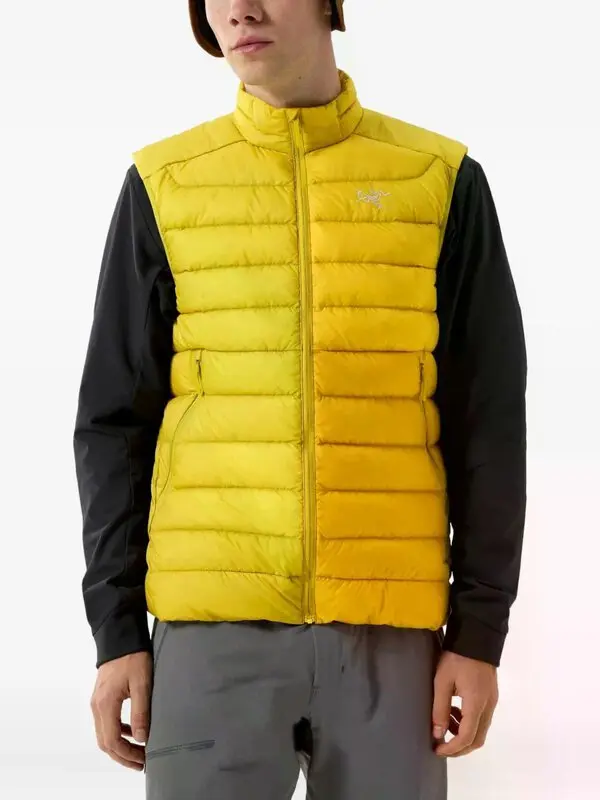 Arc'teryx Cerium Vest