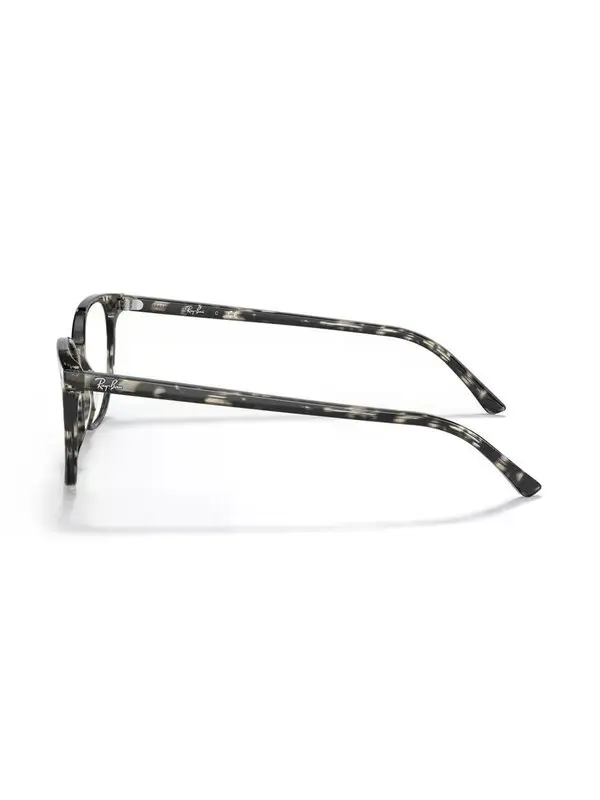 Ray-ban Elliot Glasses