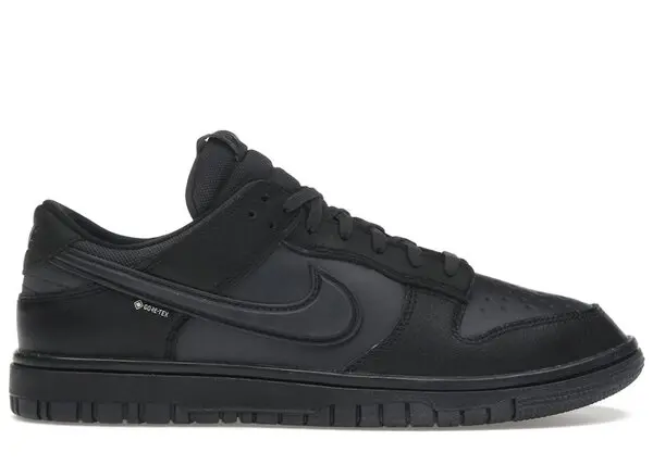 Nike Dunk Low Gore-tex Sneakers