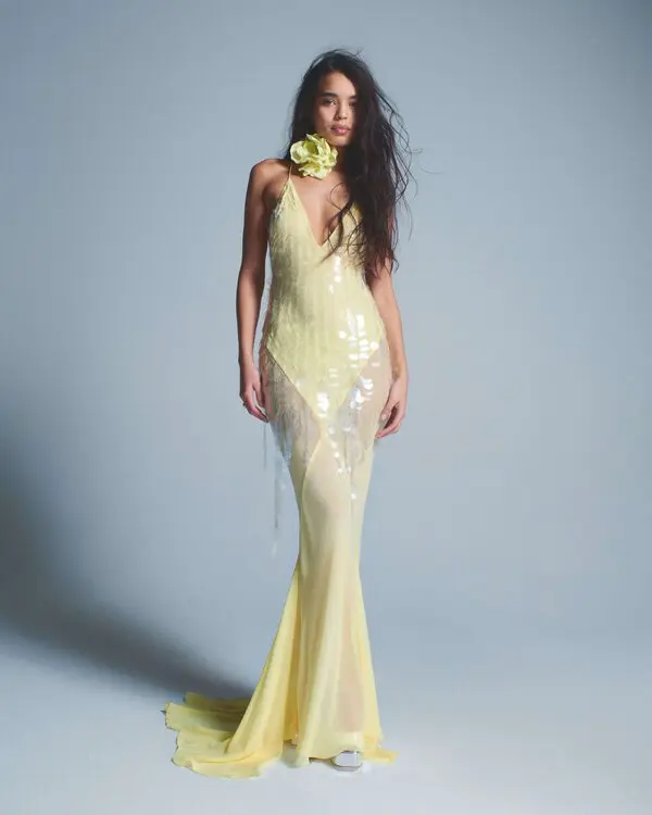 RAT & BOA Asteria Sequin Embellished Silk Georgette Gown - Yellow