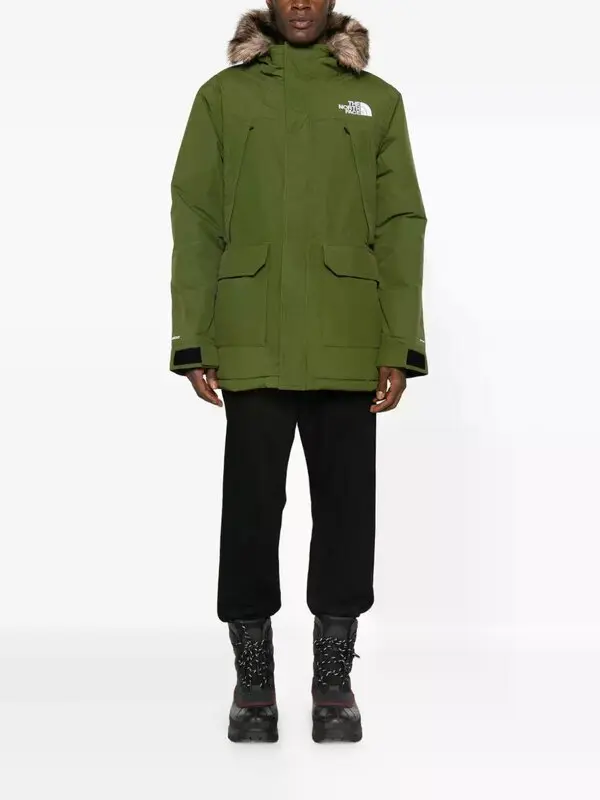 The North Face Hooded Jacket In Green | Editorialist