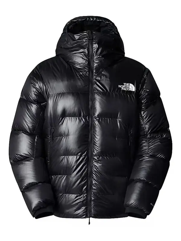 The North Face Summit Series Hooded Padded Jacket