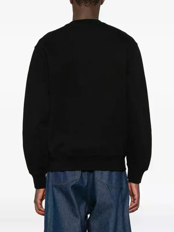 Carhartt Work In Progress Crewneck Long-sleeve Sweatshirt