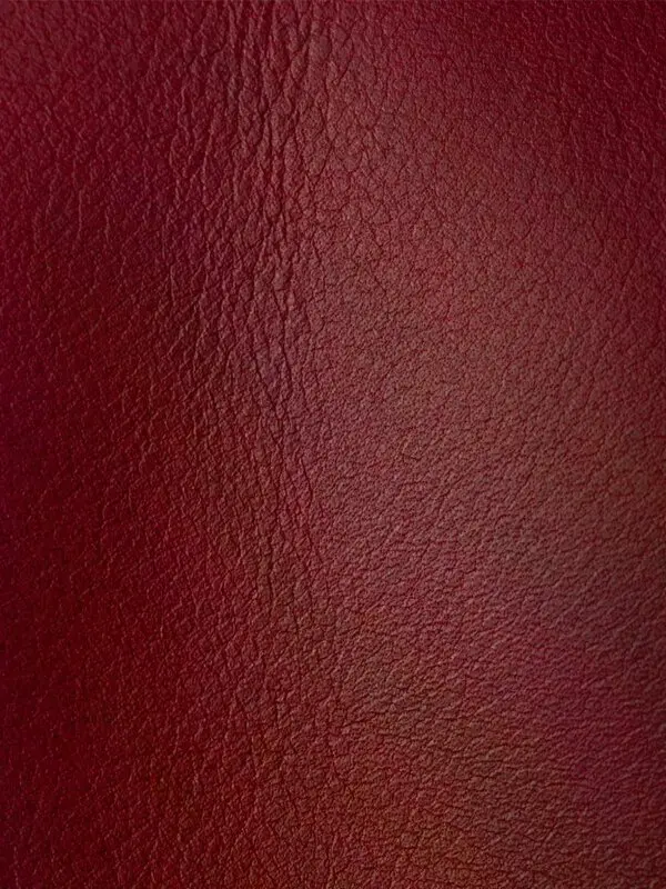 Prada Etude Shoulder Bag