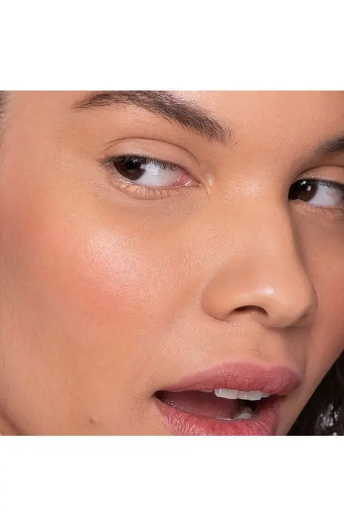 DOUCCE Cheek Blush