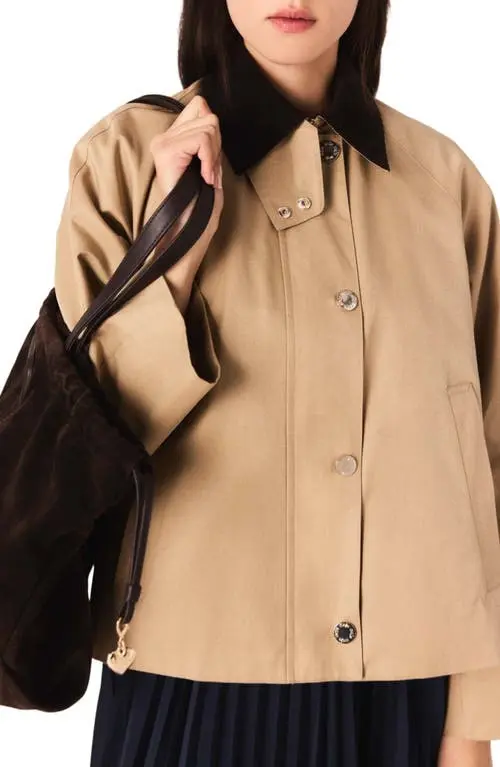 Maje Jacket With Removable Collar - Camel