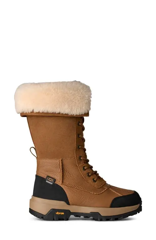 UGG Adirondack Xxv Waterproof Snow Boot - Chestnut