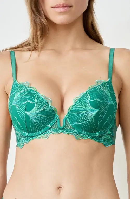 ETAM Prelude Classique Embroidered Underwire Bra - Anise Absinthe
