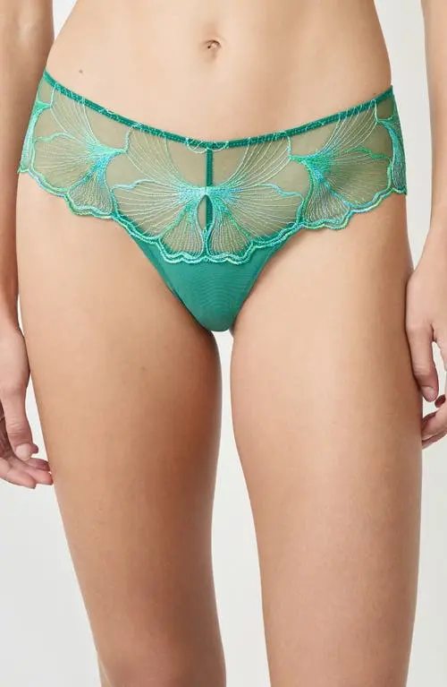 ETAM Prelude Embroidered Tulle Hipster Panties - Anise Absinthe