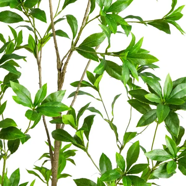 NEARLY NATURAL 6' Artificial Minimalist Japanese Pieris Tree