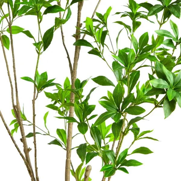 NEARLY NATURAL 6' Artificial Minimalist Japanese Pieris Tree