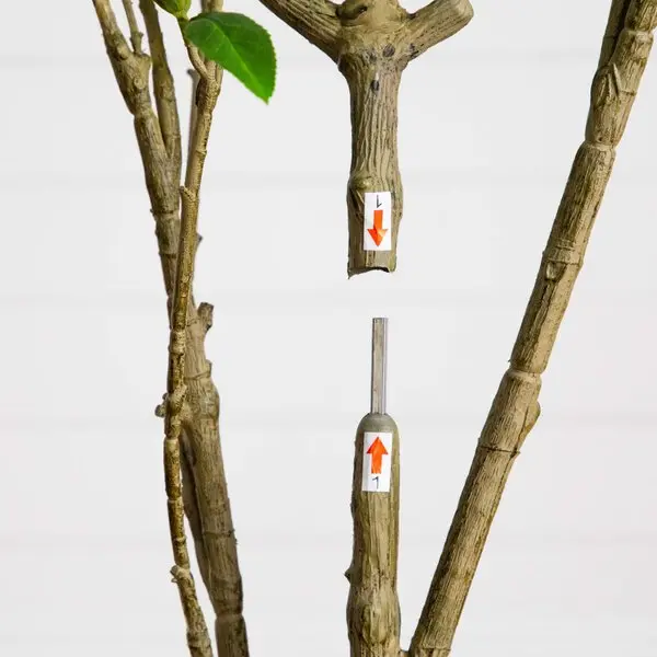 NEARLY NATURAL 6' Artificial Minimalist Japanese Pieris Tree