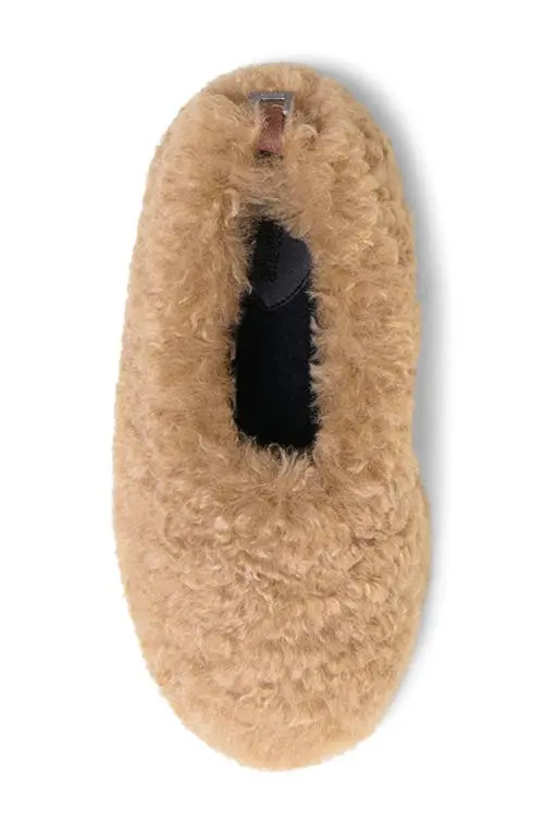 Apparis Magda Pluche™ Ballet Slipper - Camel