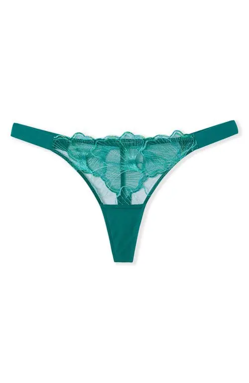 ETAM Prelude Embroidered Thong