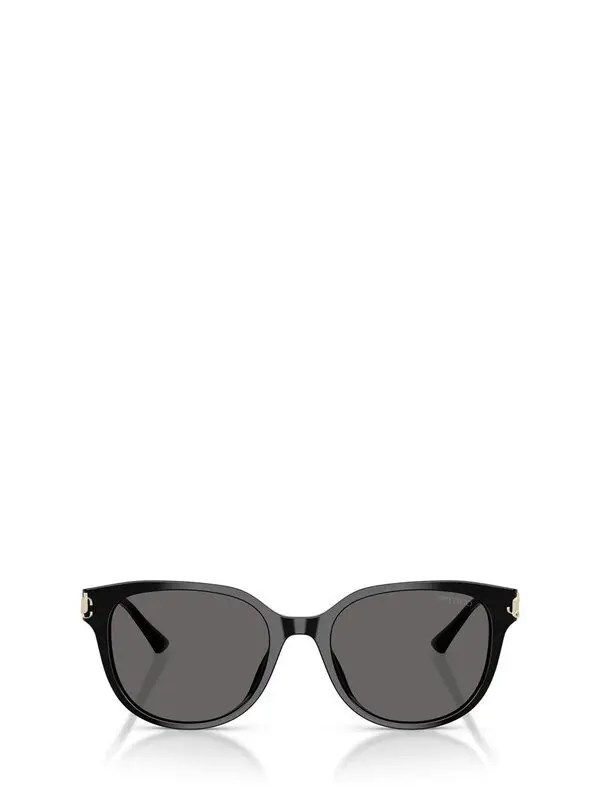 JIMMY CHOO Squarish Sunglasses