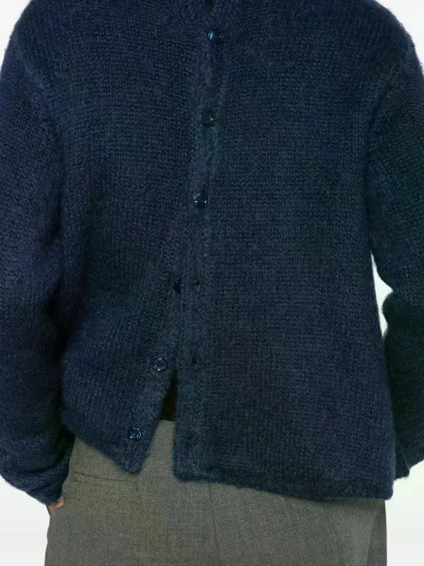 Loewe Buttoned Cardigan