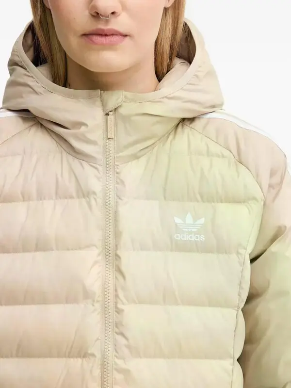 Adidas Adicolor Hooded Jacket