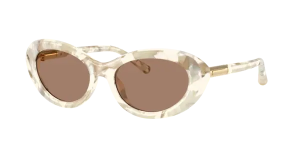 Dolce & Gabbana Sunglasses - Solid Brown