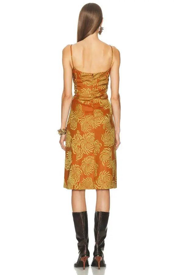 Dries Van Noten Dirios Dress