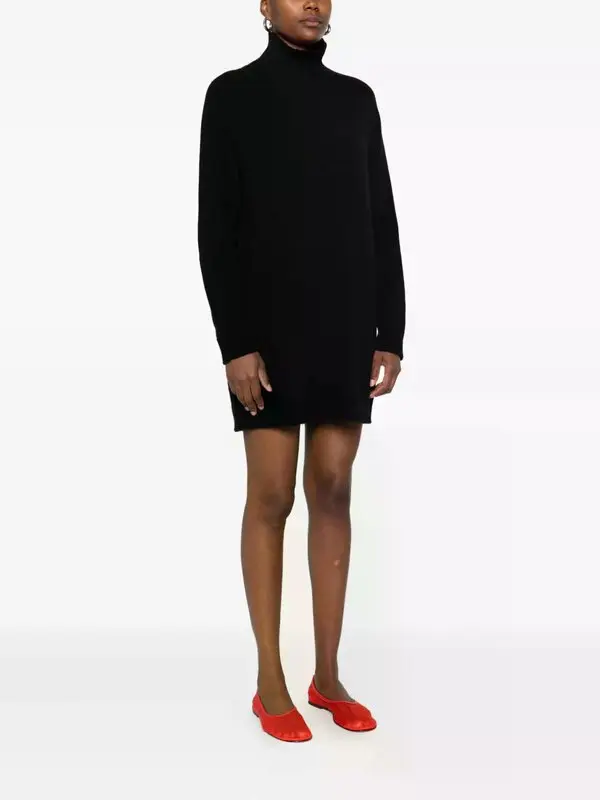 Eric Bompard Cashmere Mini Dress