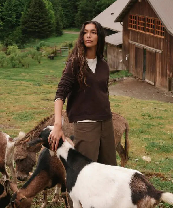 Jenni Kayne Flynn Cashmere V-neck - Brown