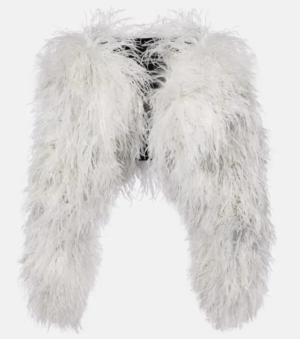 Dolce & Gabbana Feather-trimmed Cropped Jacket - Grey
