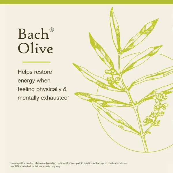 NELSON BACH Bach Olive 20 Milliliters