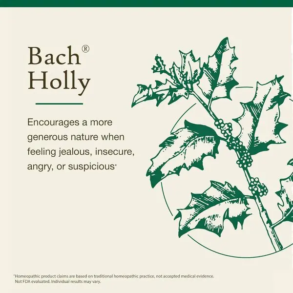 NELSON BACH Bach Holly 20 Milliliters