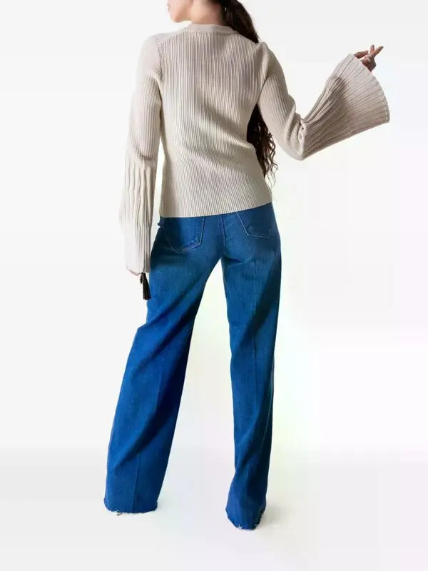 Simkhai Aris Pleated Bell-sleeve Top