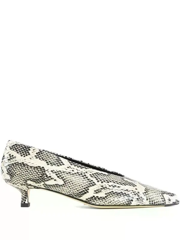 AeydĒ Pointed Clara Pumps