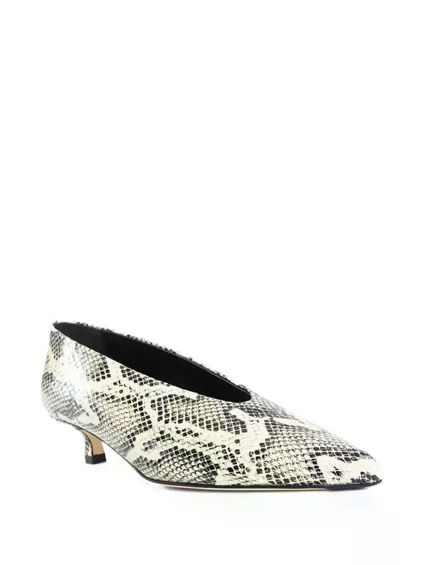 AeydĒ Pointed Clara Pumps