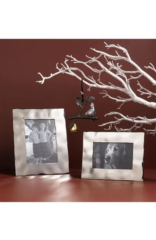 Michael Aram Reflective Water Picture Frame