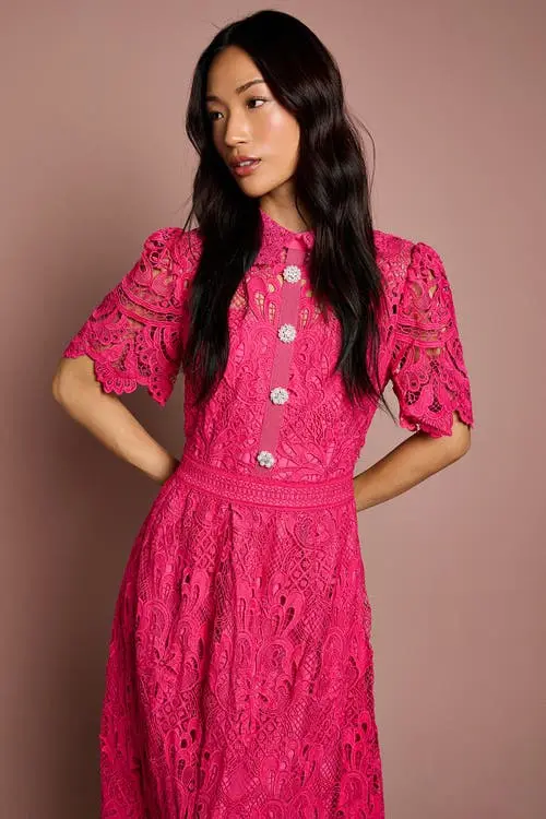 Coast Short Sleeve Collared Lace Midi Dress