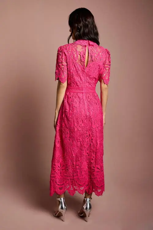 Coast Short Sleeve Collared Lace Midi Dress
