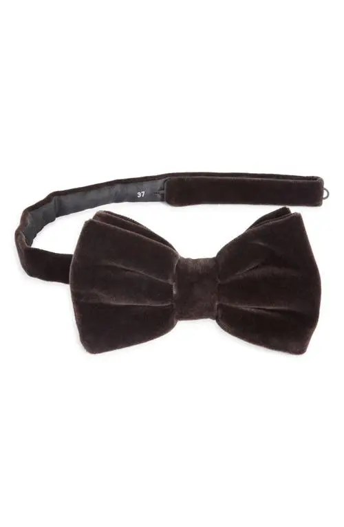 BOSS Cotton Bow Tie - Dark Brown