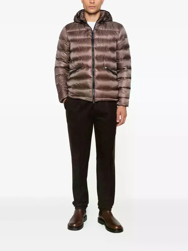 Herno Hooded Padded Jacket