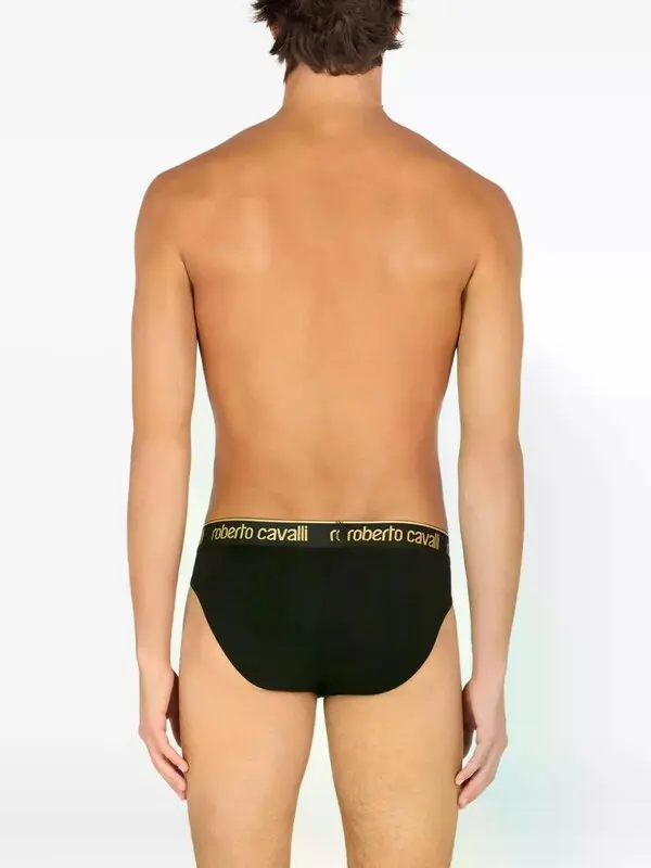 Roberto Cavalli Logo-band Briefs