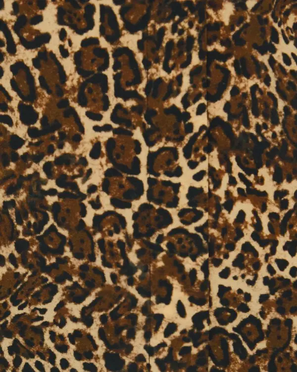 Isabel Marant Étoile Teysa Shirt - Leopard