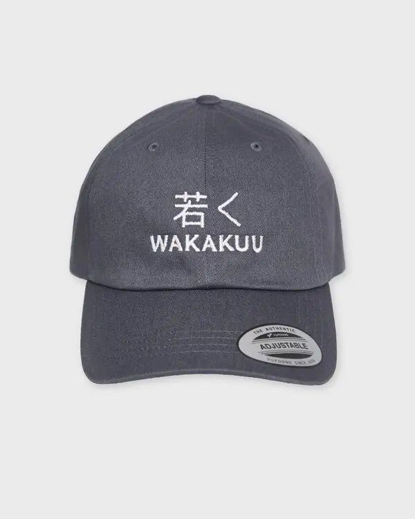 WAKAKUU Low Profile Cap - Dark Grey