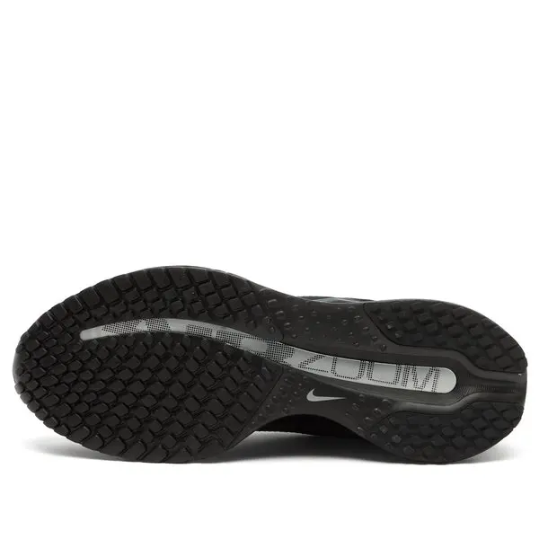 Nike Pegasus Premium Sneaker - Black/silver