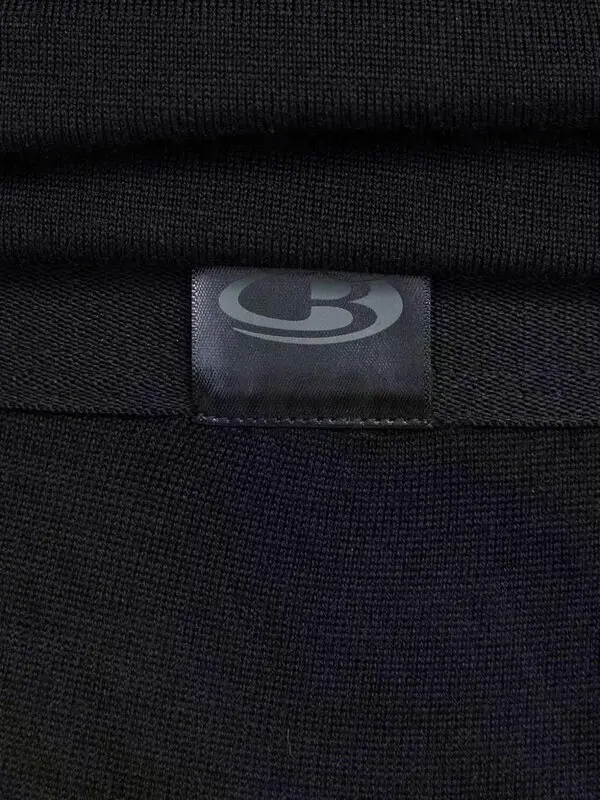 Icebreaker Logo-waist Leggings