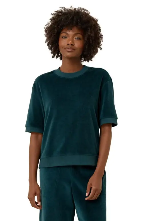 PACT Organic Cotton Velour Sweatshirt Tee - Celestial
